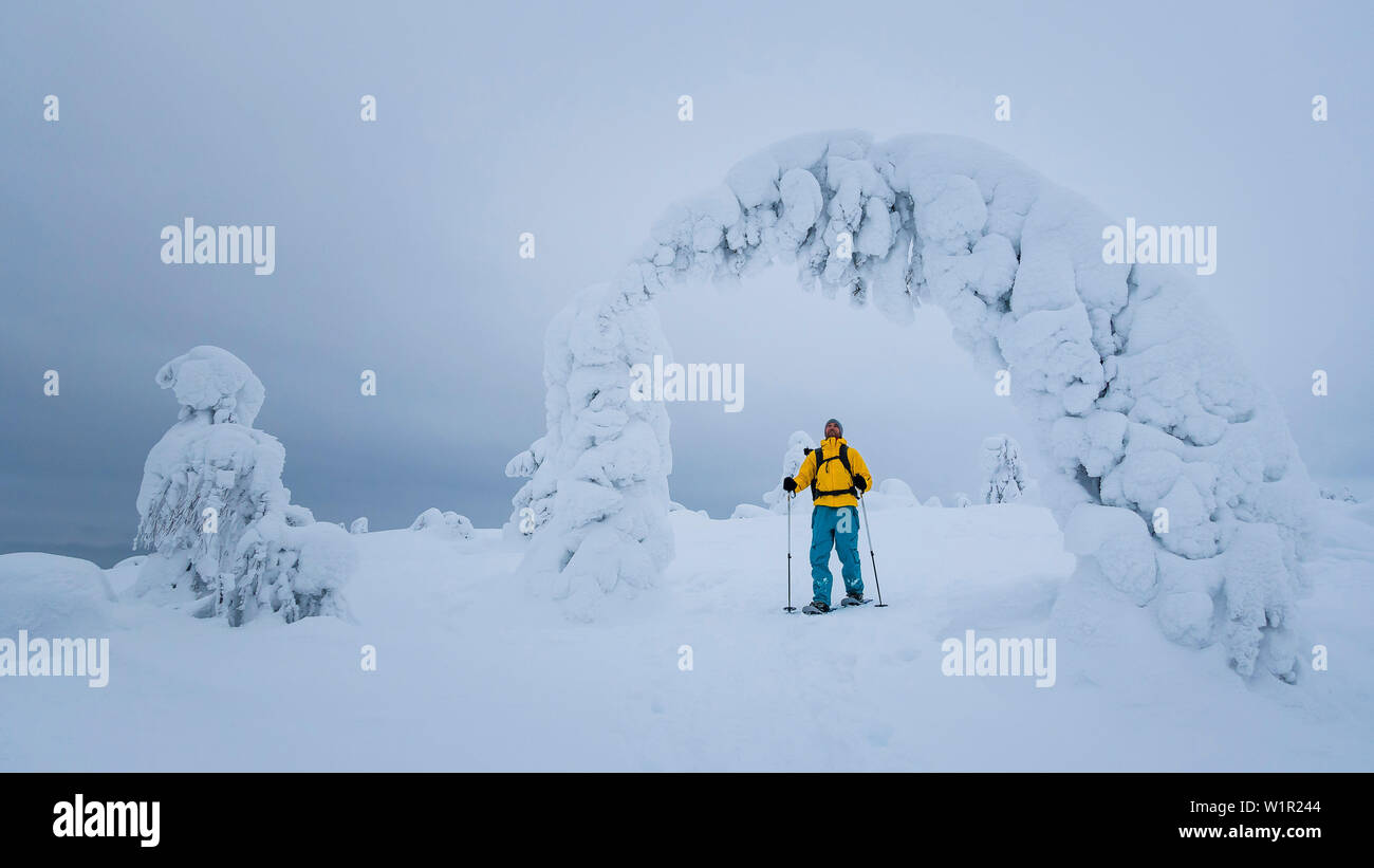 snowshoe hike through the snow-covored trees in the Pyhä-Luosto ...