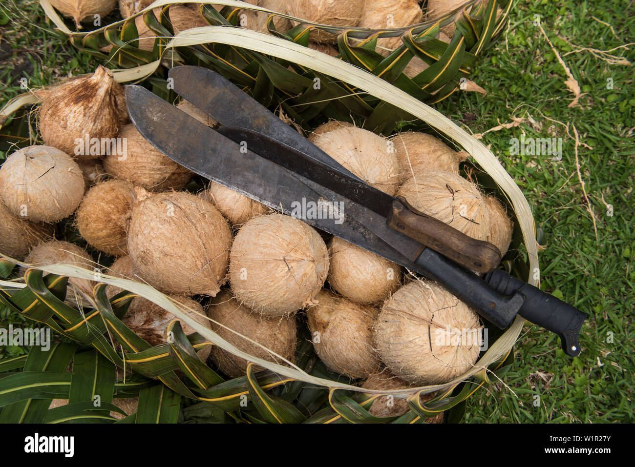 Three coconuts island hi-res stock photography and images - Alamy