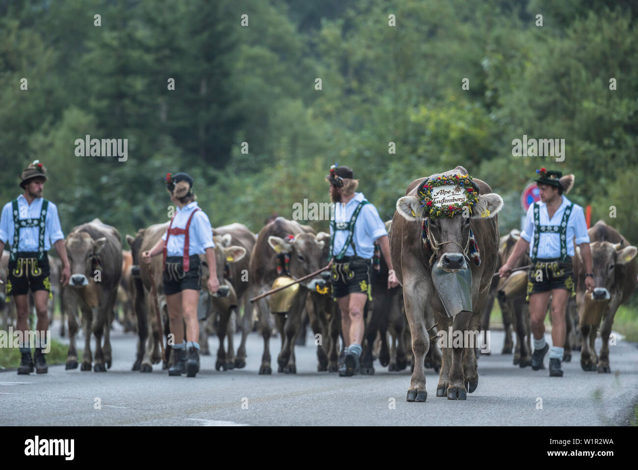 Wearing bells hi-res stock photography and images - Alamy
