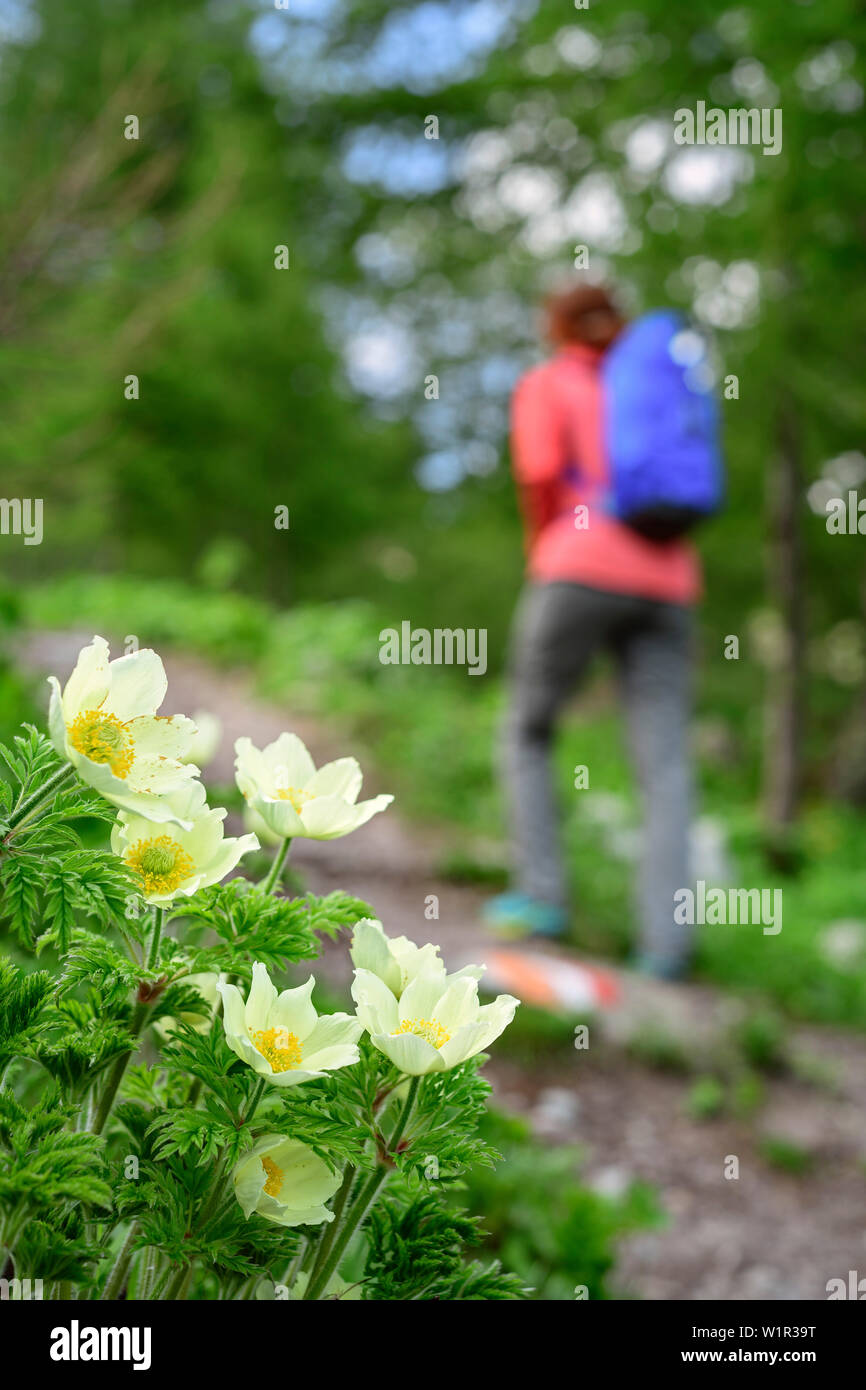 50 year old women in spring hi-res stock photography and images - Alamy