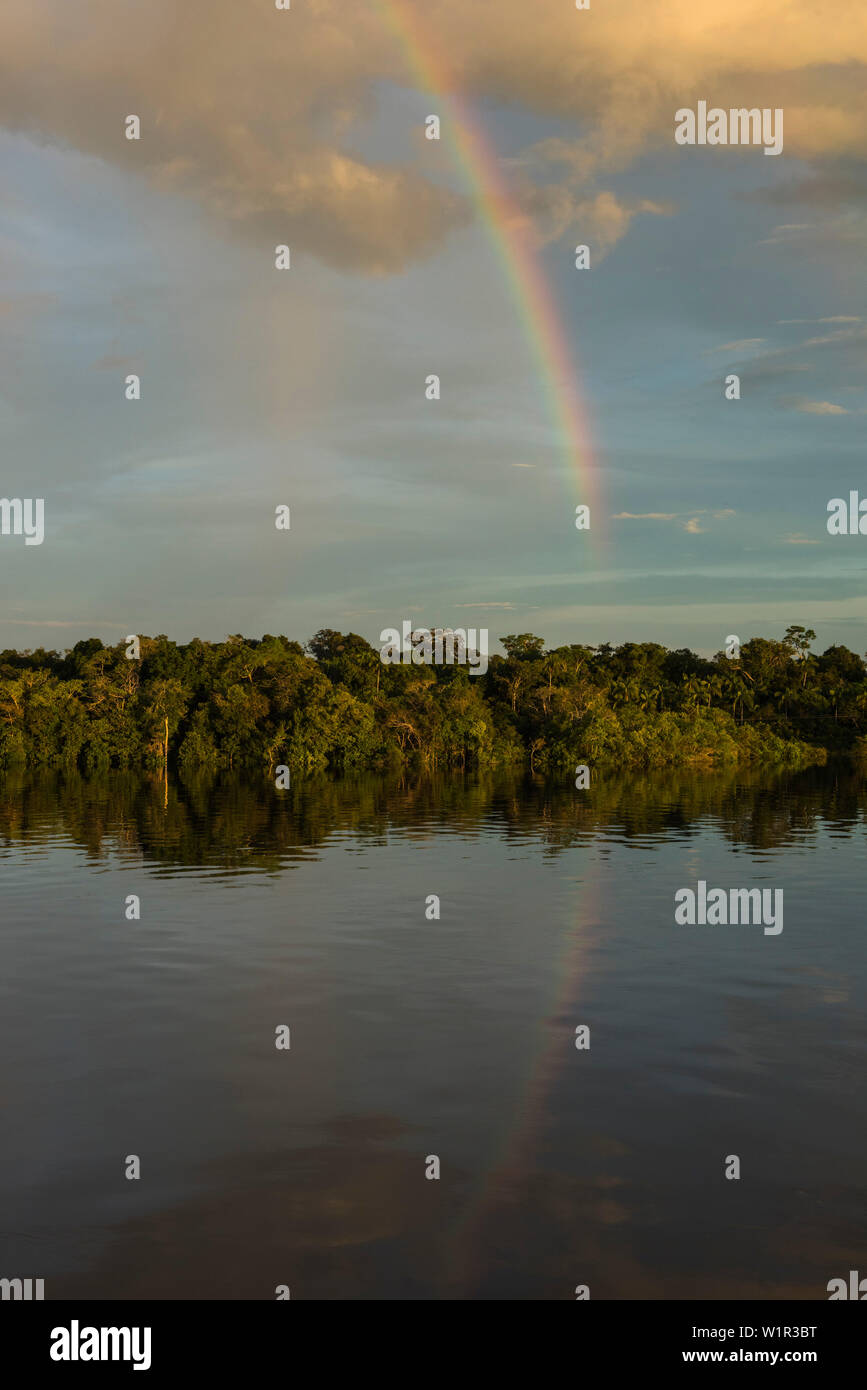 A rainbow forms over the bank of the Amazon River, Jutai, Amazonas ...