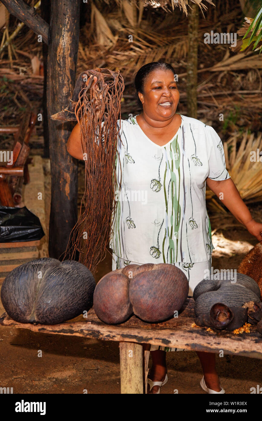 Coco de mer seychelles local hi-res stock photography and images - Alamy