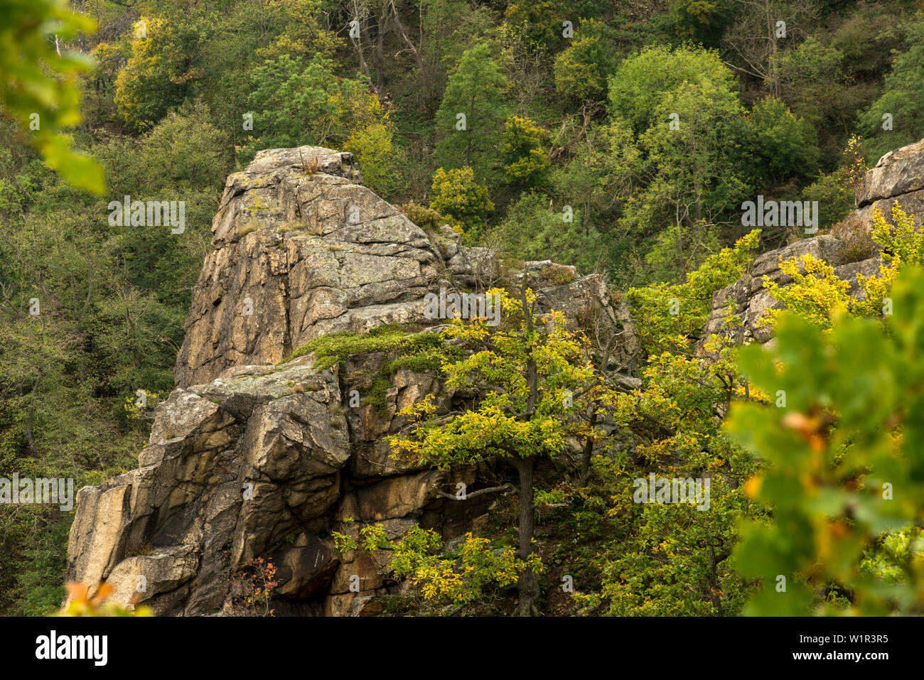 View from the Rosstrappe on granite rocks in the Bode Valley near Thale ...