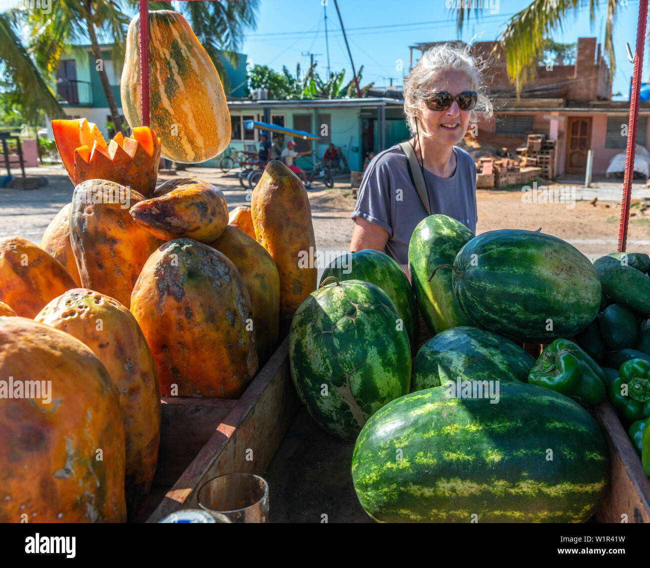 Woman tourist inspecting fresh fruit and vegetables on a roadside stall ...