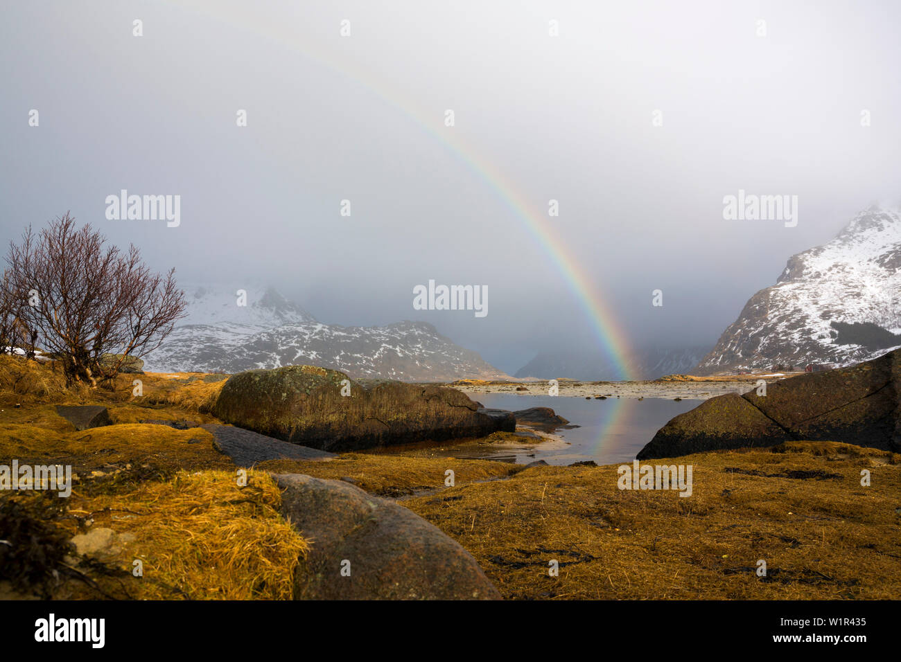rainbow over Flakstaoya, Lofoten Islands, Norway, Skandinavia, Europe ...