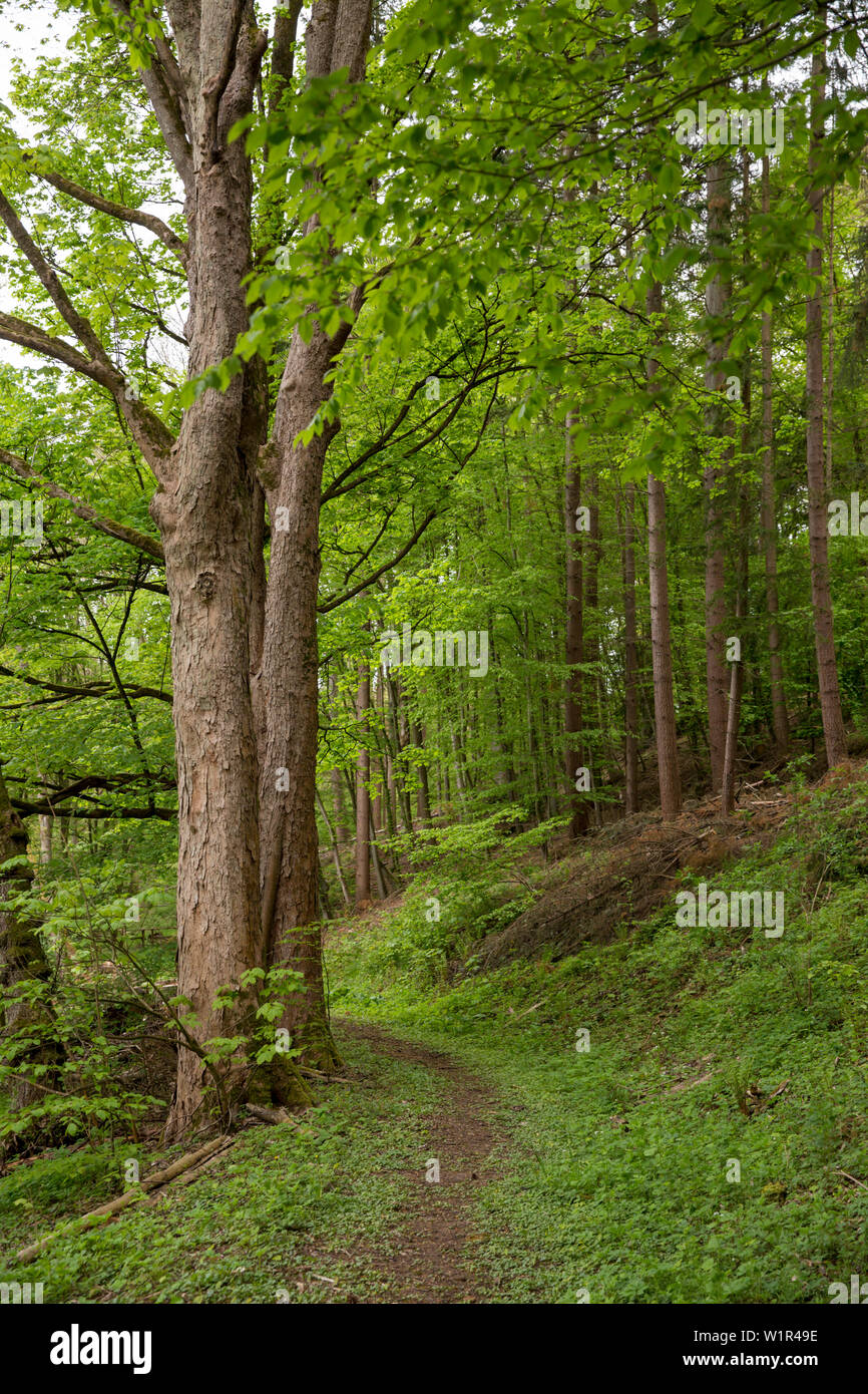 Haina hi-res stock photography and images - Alamy