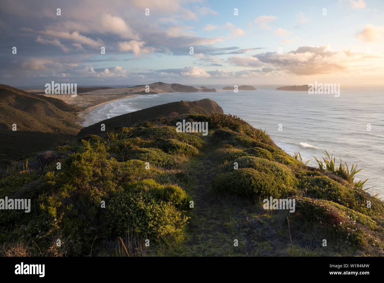 Coastal landscape at Cape Reinga, Aupouri Peninsula, North Island, New ...