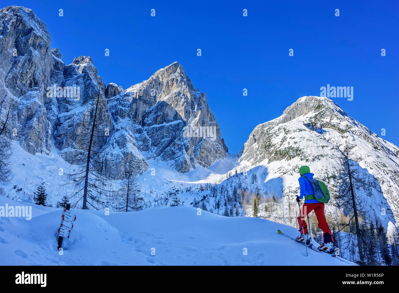 Jof fuart hi-res stock photography and images - Alamy