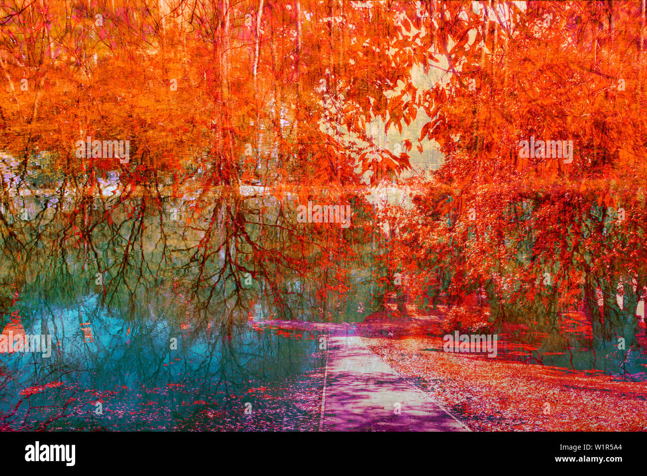 How to paint autumn forest hi-res stock photography and images - Alamy