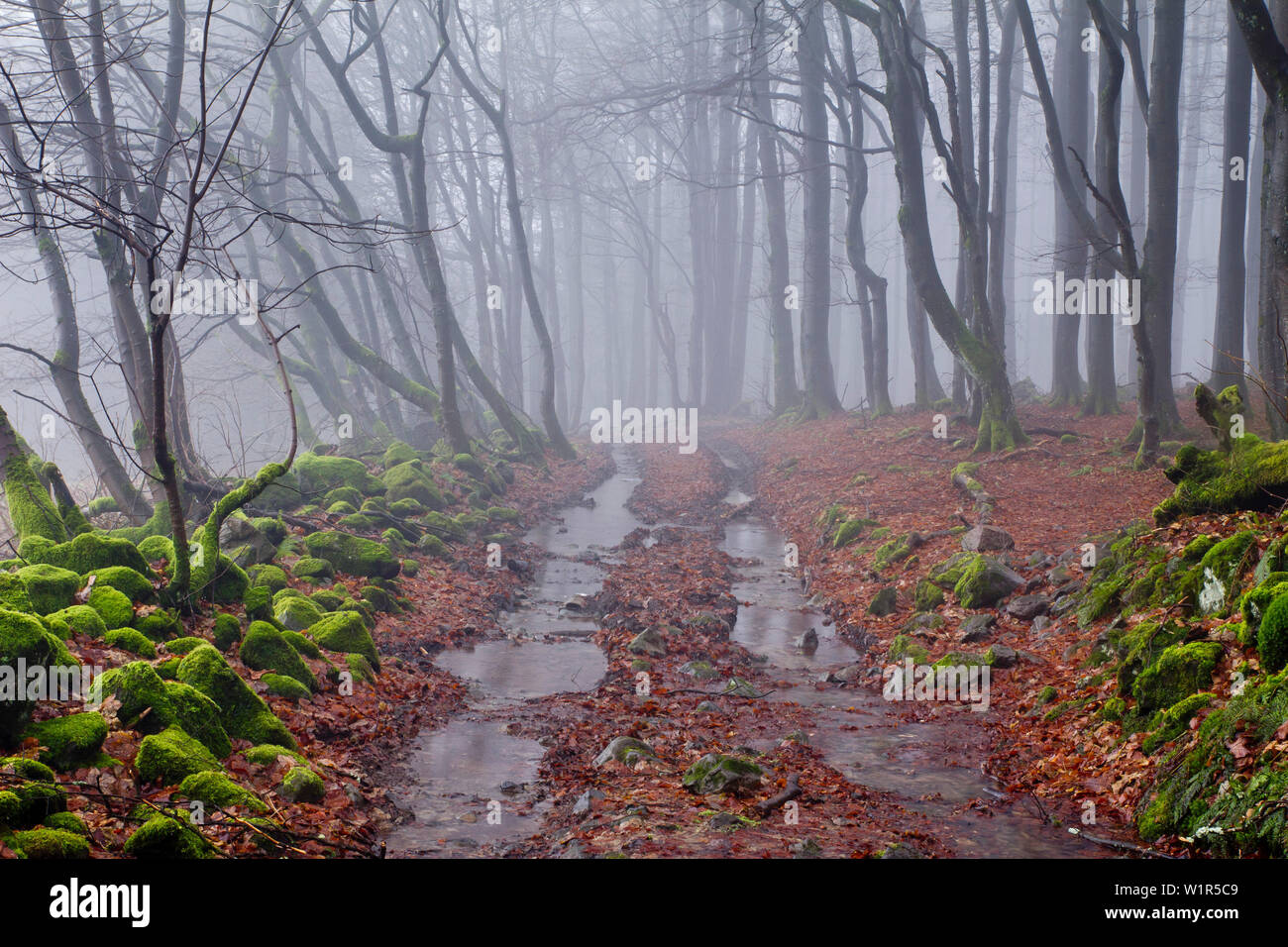 Bavarian rhoen nature park hi-res stock photography and images - Alamy