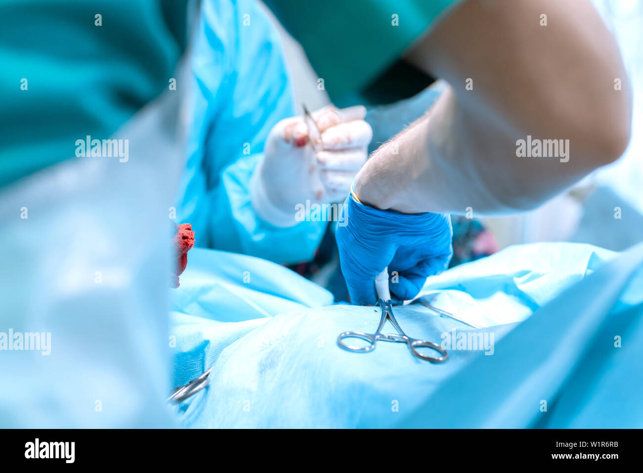 Laparoscopic surgeon hi-res stock photography and images - Alamy