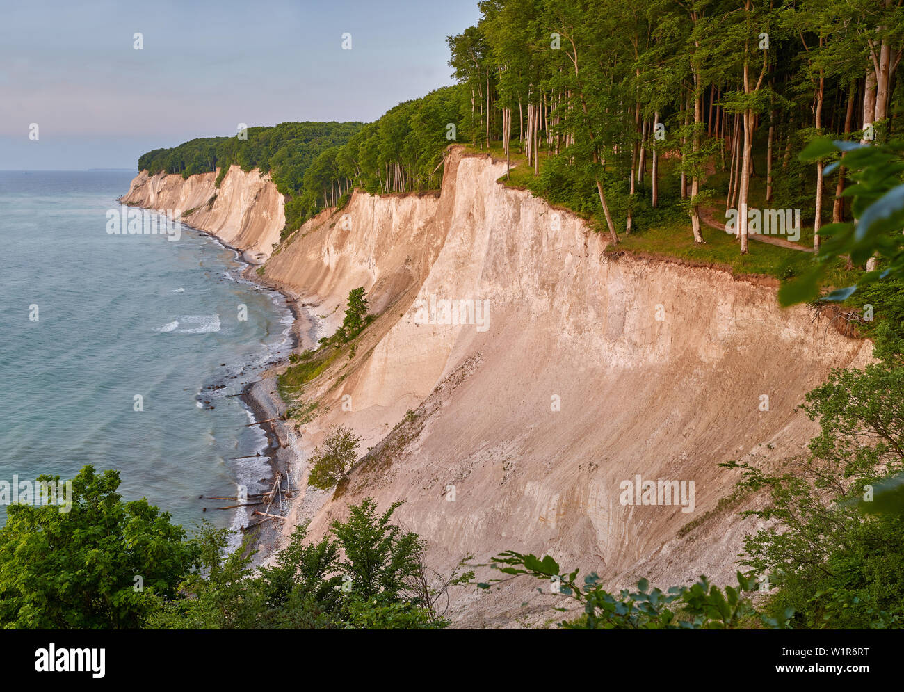 Chalk cliffs, cretaceous coast in Jasmund national park, Ruegen island ...
