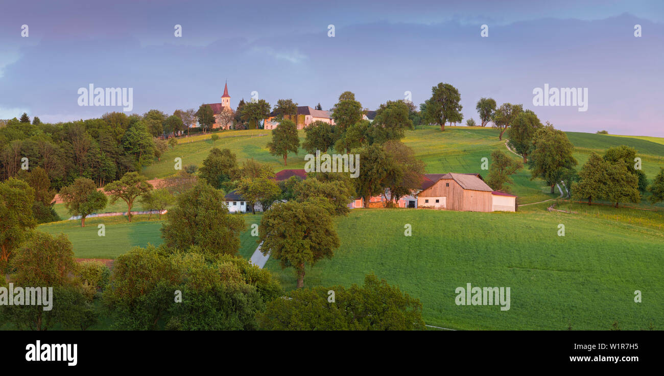 Steina hi-res stock photography and images - Alamy