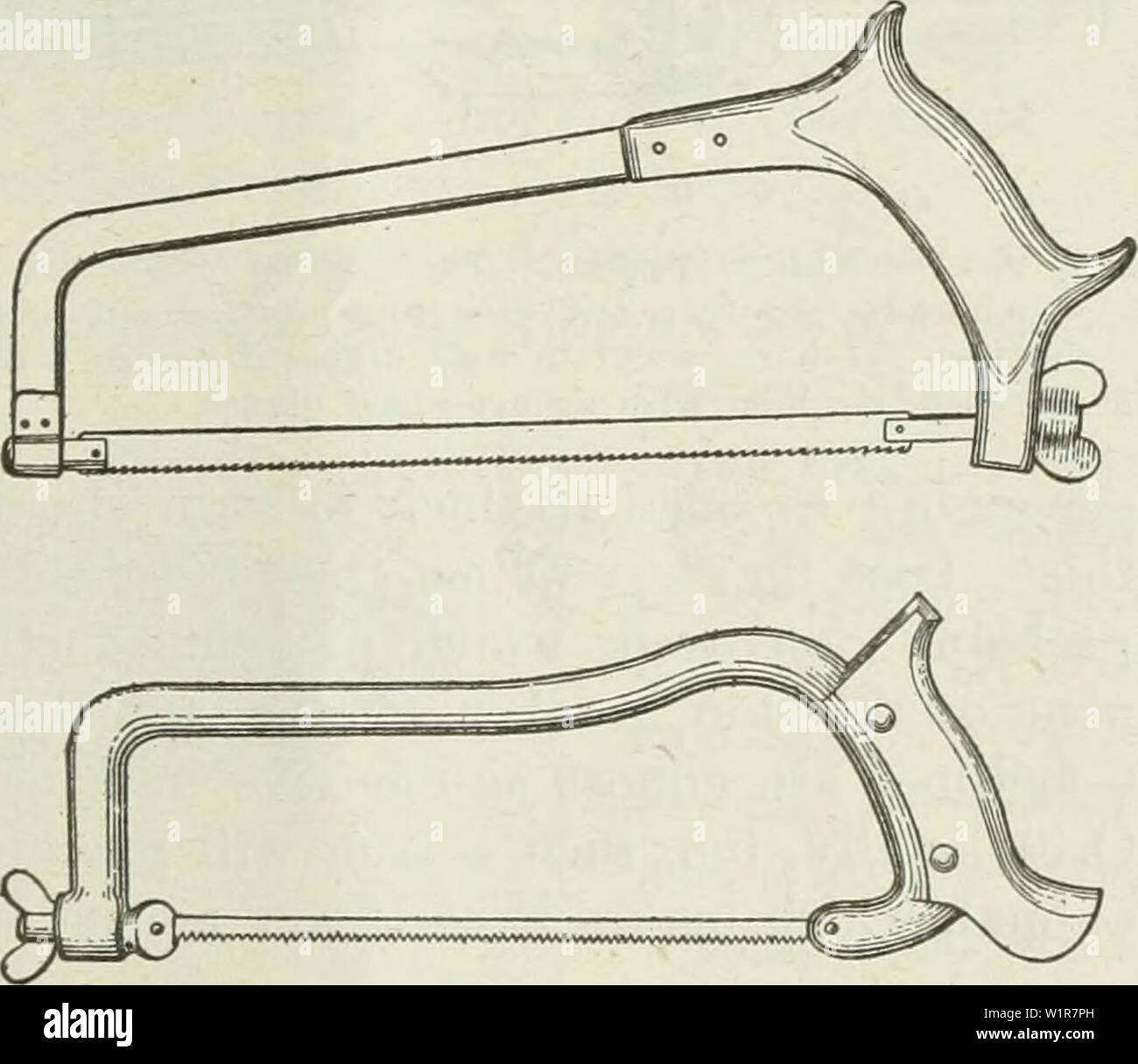 Dehorning of cattle hi-res stock photography and images - Alamy