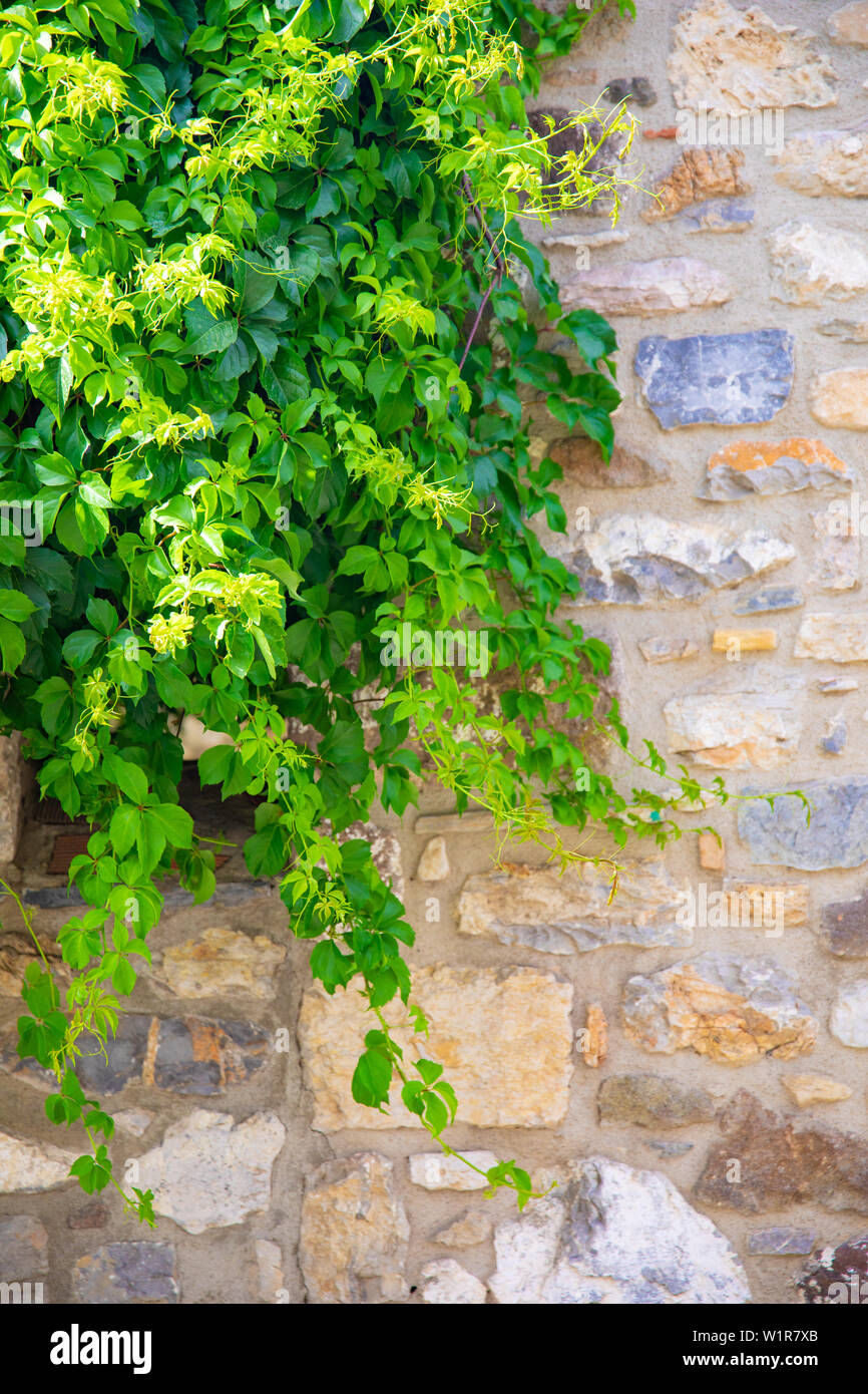 Bodrum garden cafe restaurant hi-res stock photography and images - Alamy