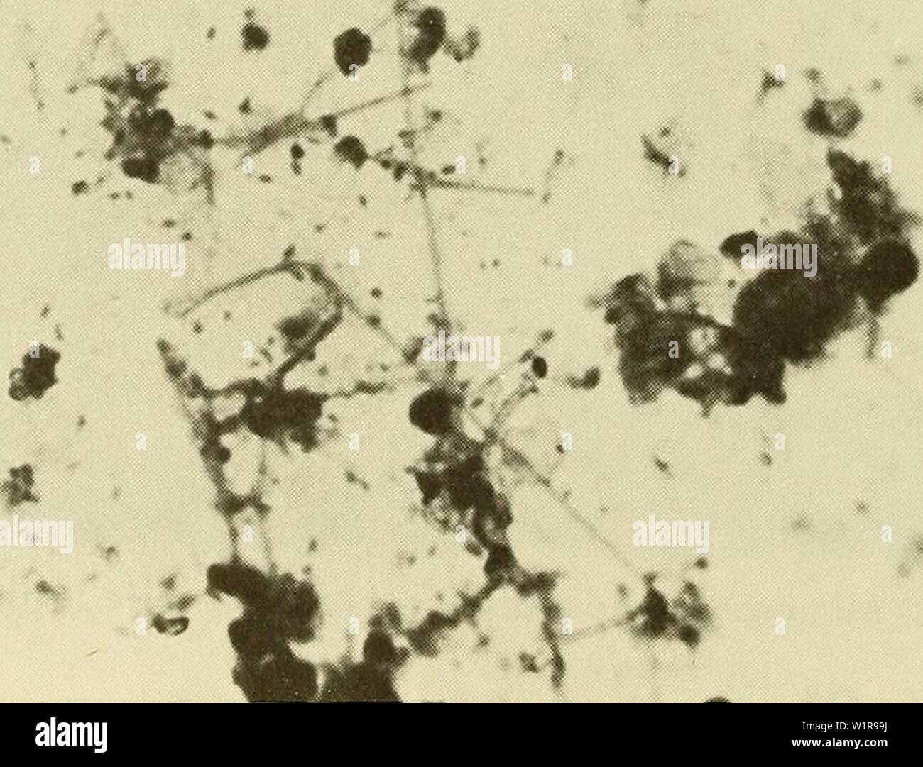 Archive image from page 45 of Deep-ocean biodeterioration of materials ...