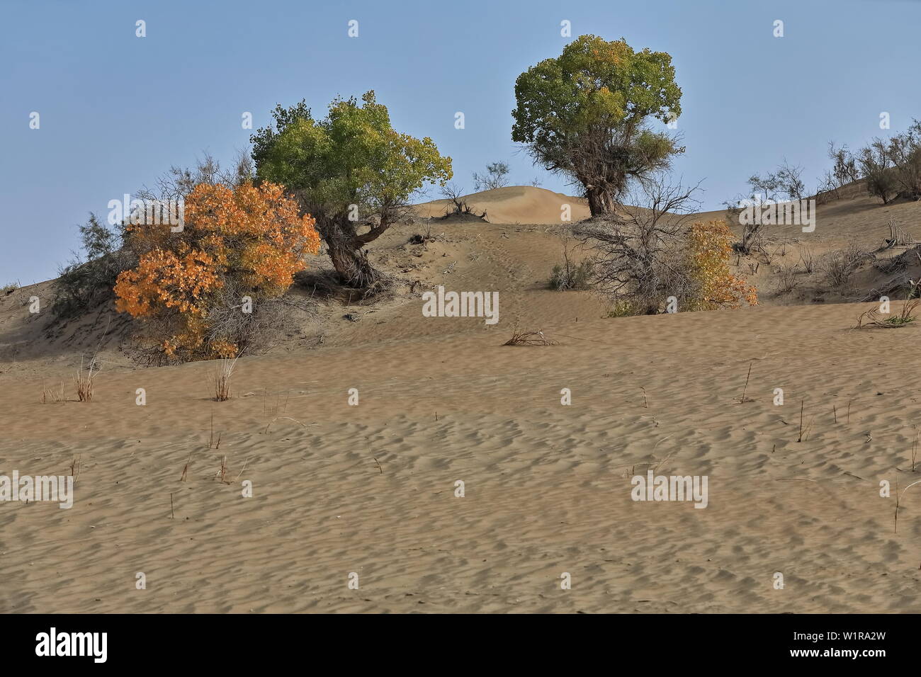 Keriya county hi-res stock photography and images - Alamy