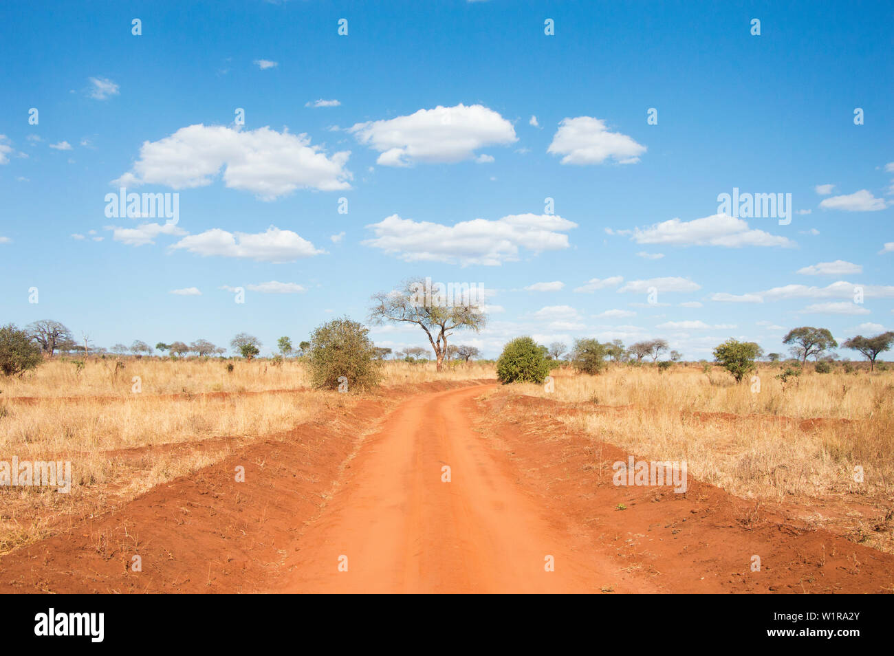 African savannah hi-res stock photography and images - Alamy