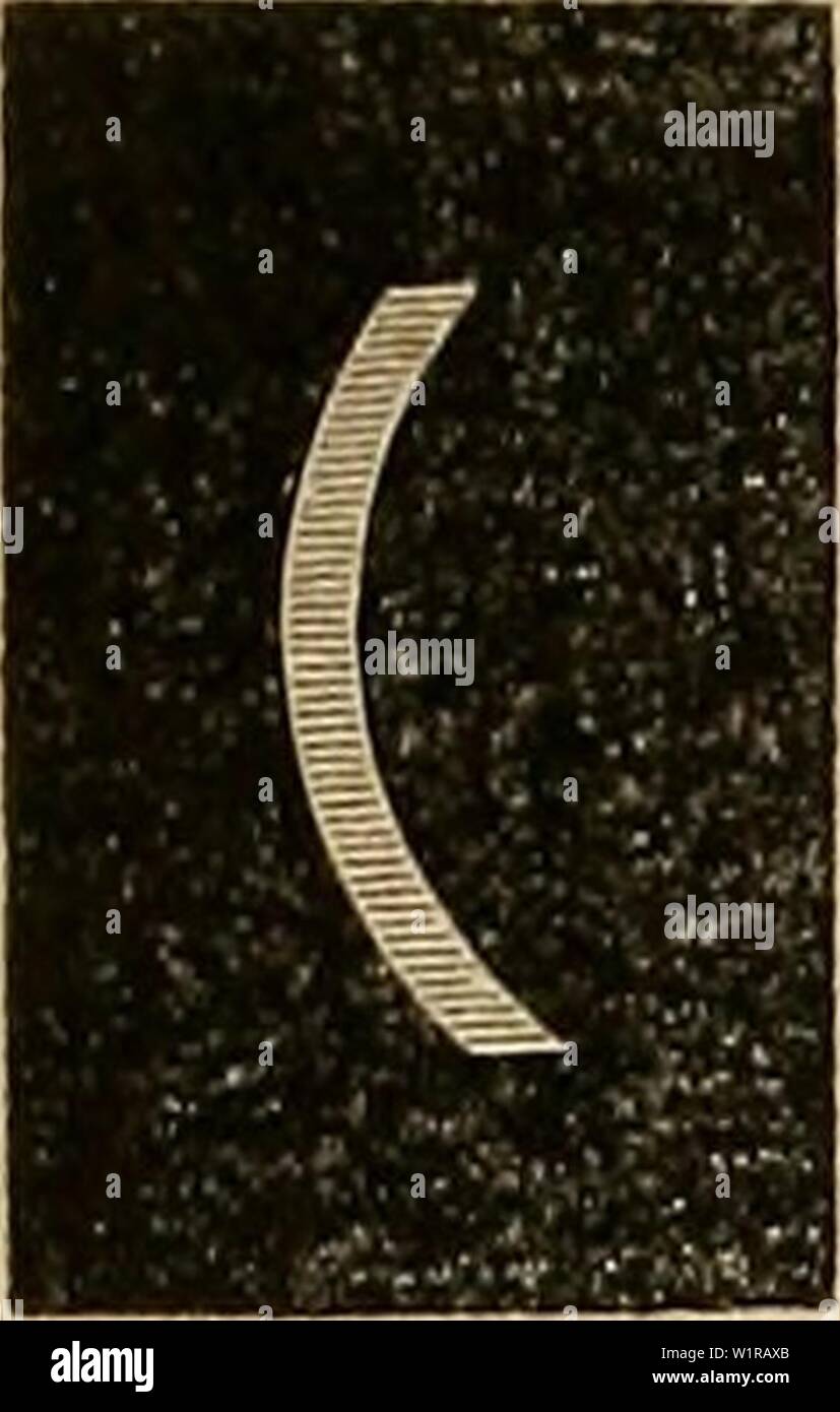 Archive image from page 48 of Das mikroskop Theorie, gebrauch ...