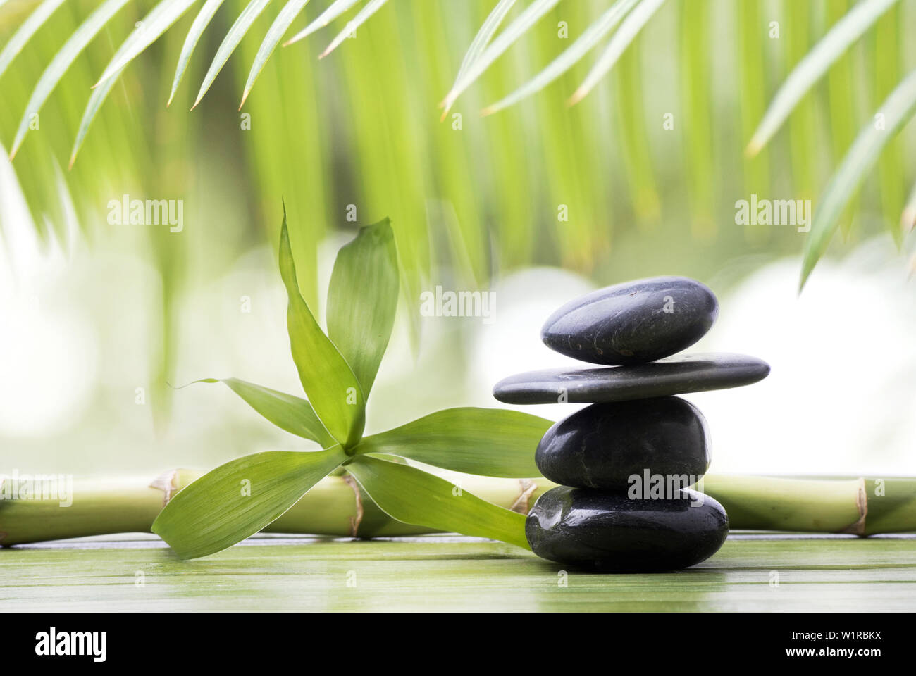wellness environment with stack of black stones for massage on a green ...