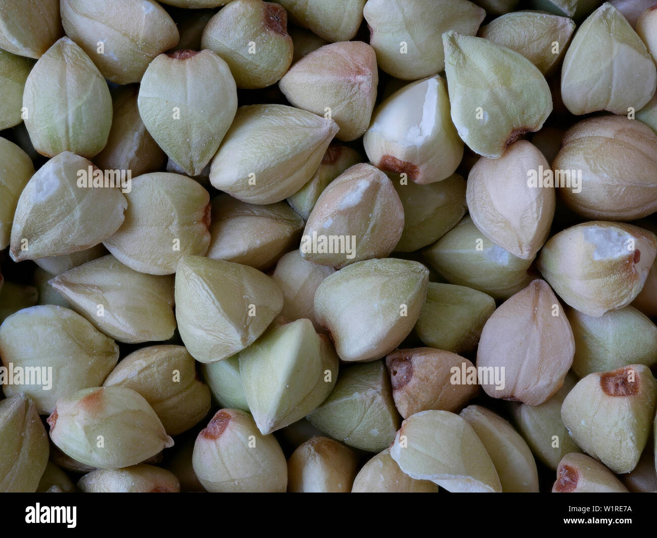 Macro Close-up of Buckwheat Seeds, Fagopyrum esculentum, Food ...