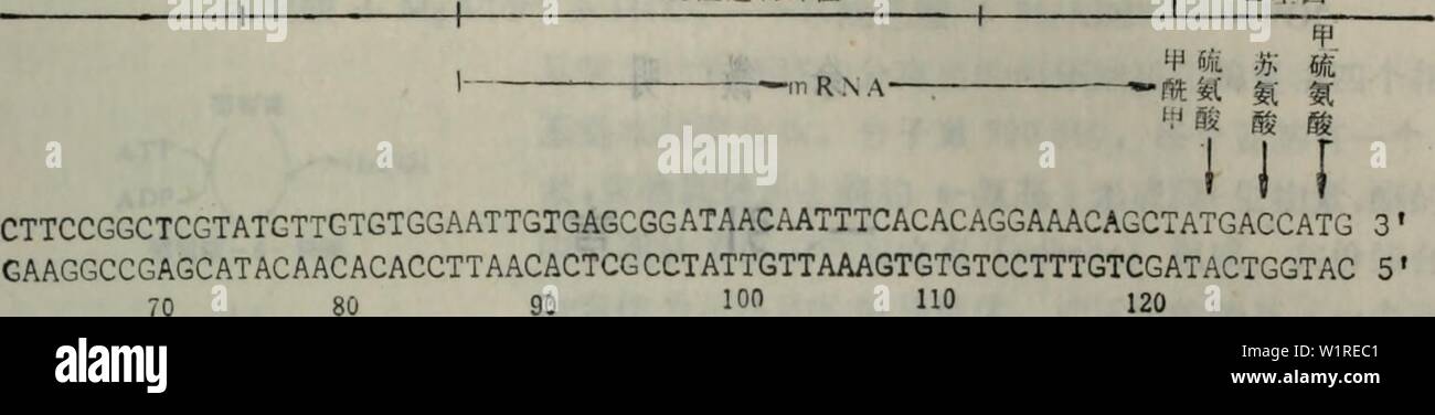 Archive image from page 56 of dai xie tang dai xie Stock Photo - Alamy