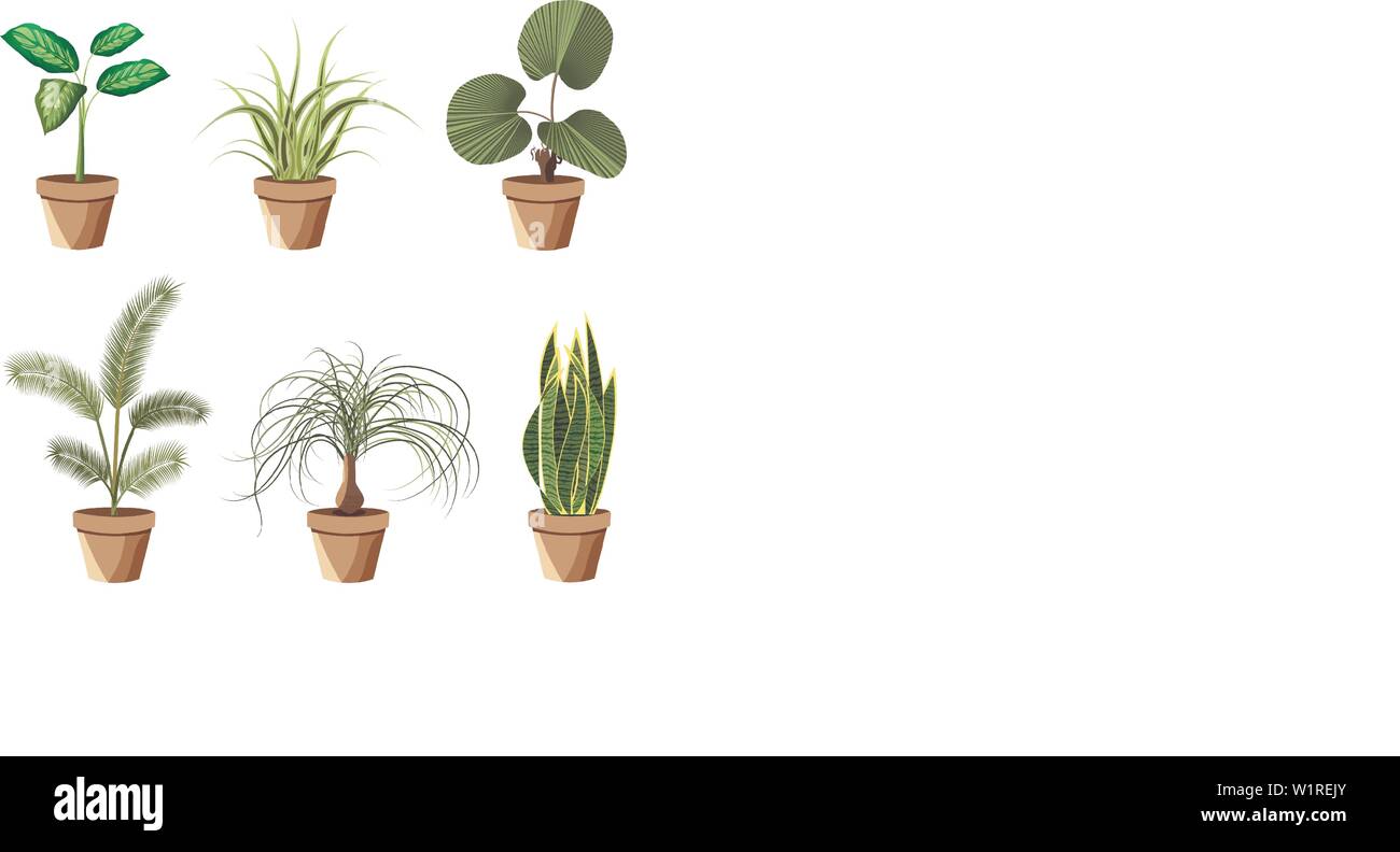 Home flowers and plants.Colourful Flowers in Vases. Vector Illustration ... Home flowers and plants.Colourful Flowers in Vases. Vector Illustration ...