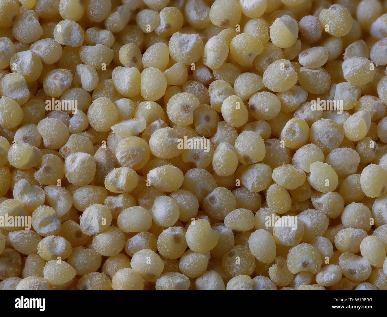 Millet seed hi-res stock photography and images - Alamy
