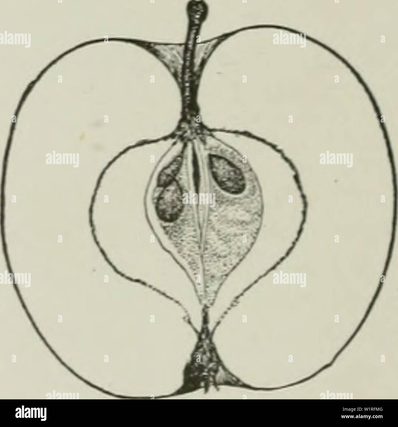 Truncate image hi-res stock photography and images - Alamy