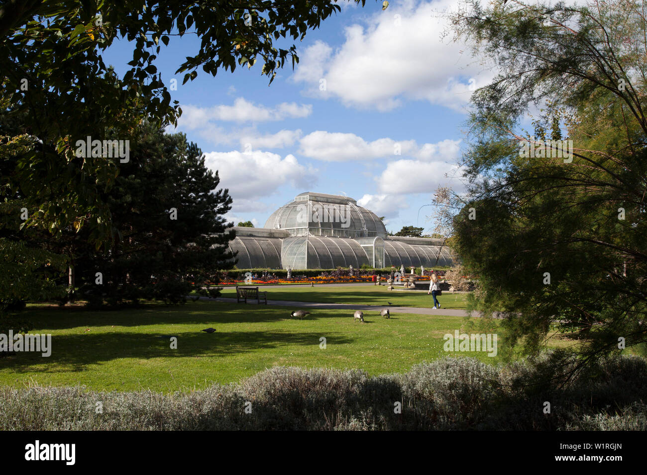 Palm House, Royal Botanic Gardens, Kew Stock Photo - Alamy