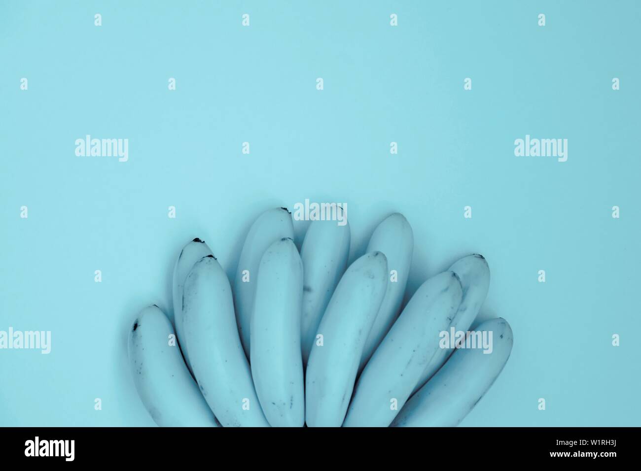 Unusual blue bananas on blue backdrop top view. Tropical and exotic ...