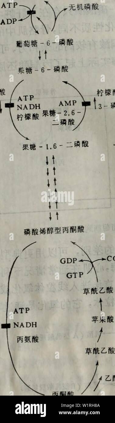 Archive image from page 63 of dai xie tang dai xie Stock Photo - Alamy