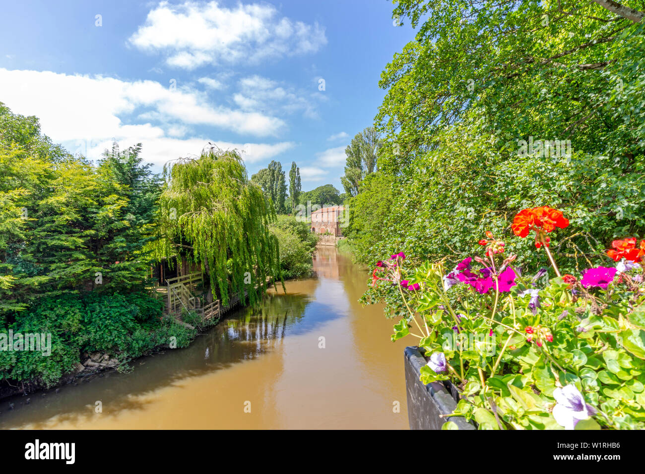 The River Derwent as it runs through Malton in Yorkshire. Trees line ...