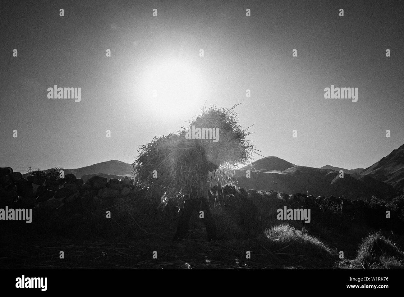 Inca farmer Black and White Stock Photos & Images - Alamy