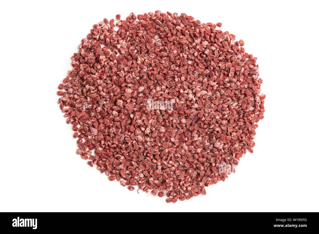 Description: Currant seeds for sowing on a white isolated background ...