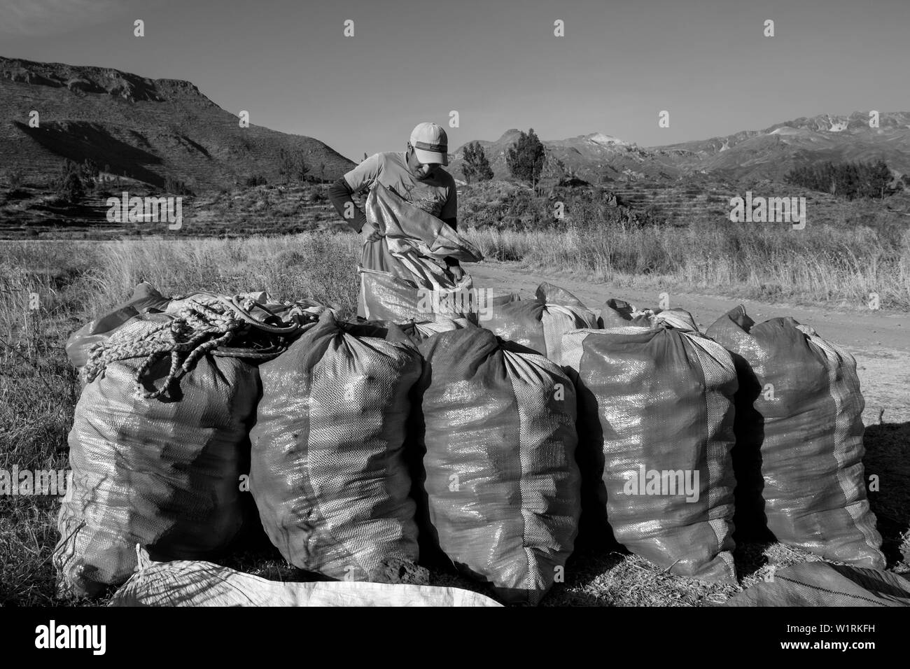 Fields peru Black and White Stock Photos & Images - Alamy