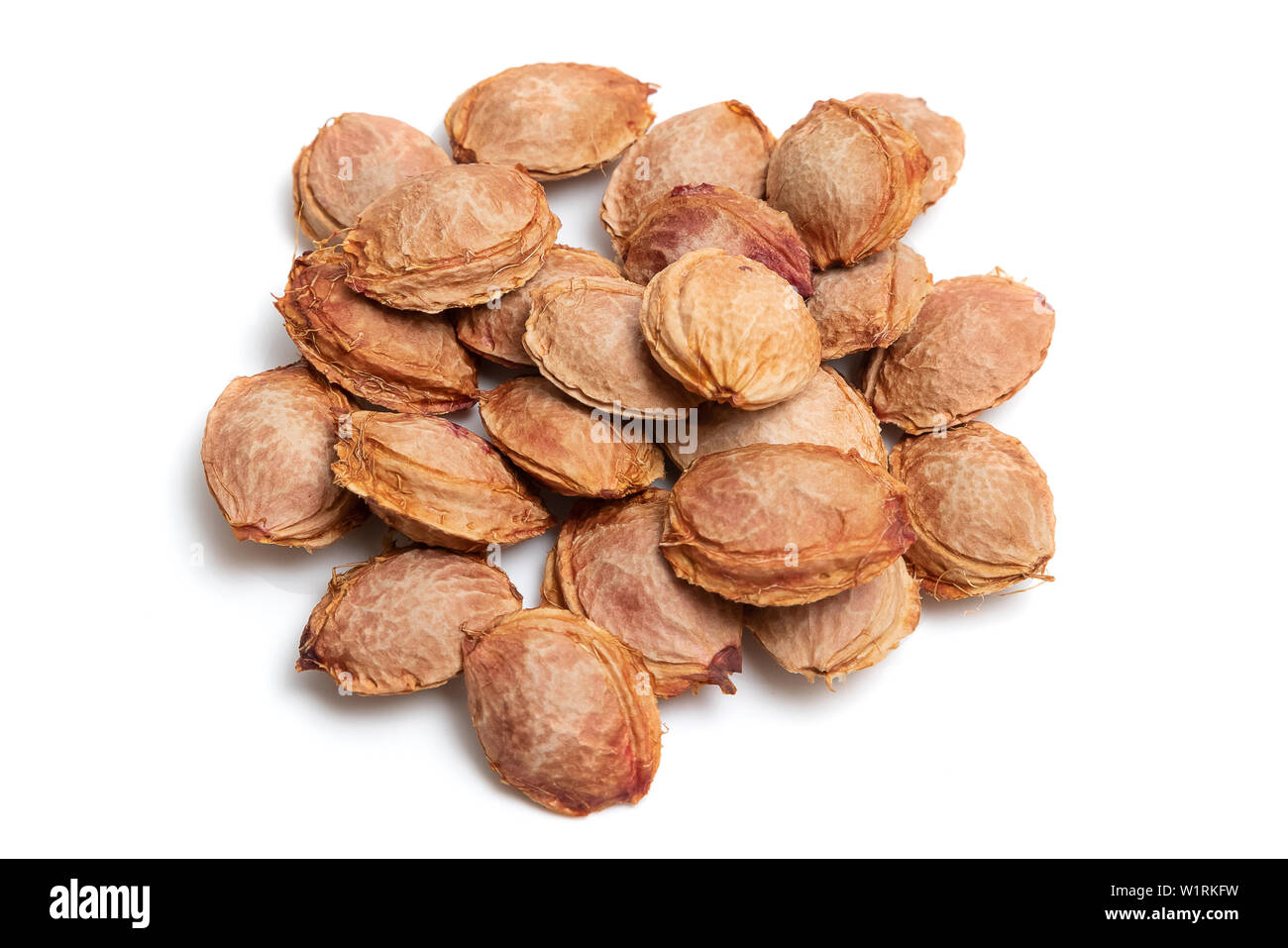 Description: apricot pits on white isolated background Stock Photo - Alamy