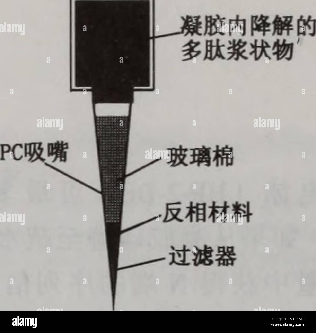 Archive image from page 69 of dan bai zhi jie gou. dan bai zhi jie gou ...