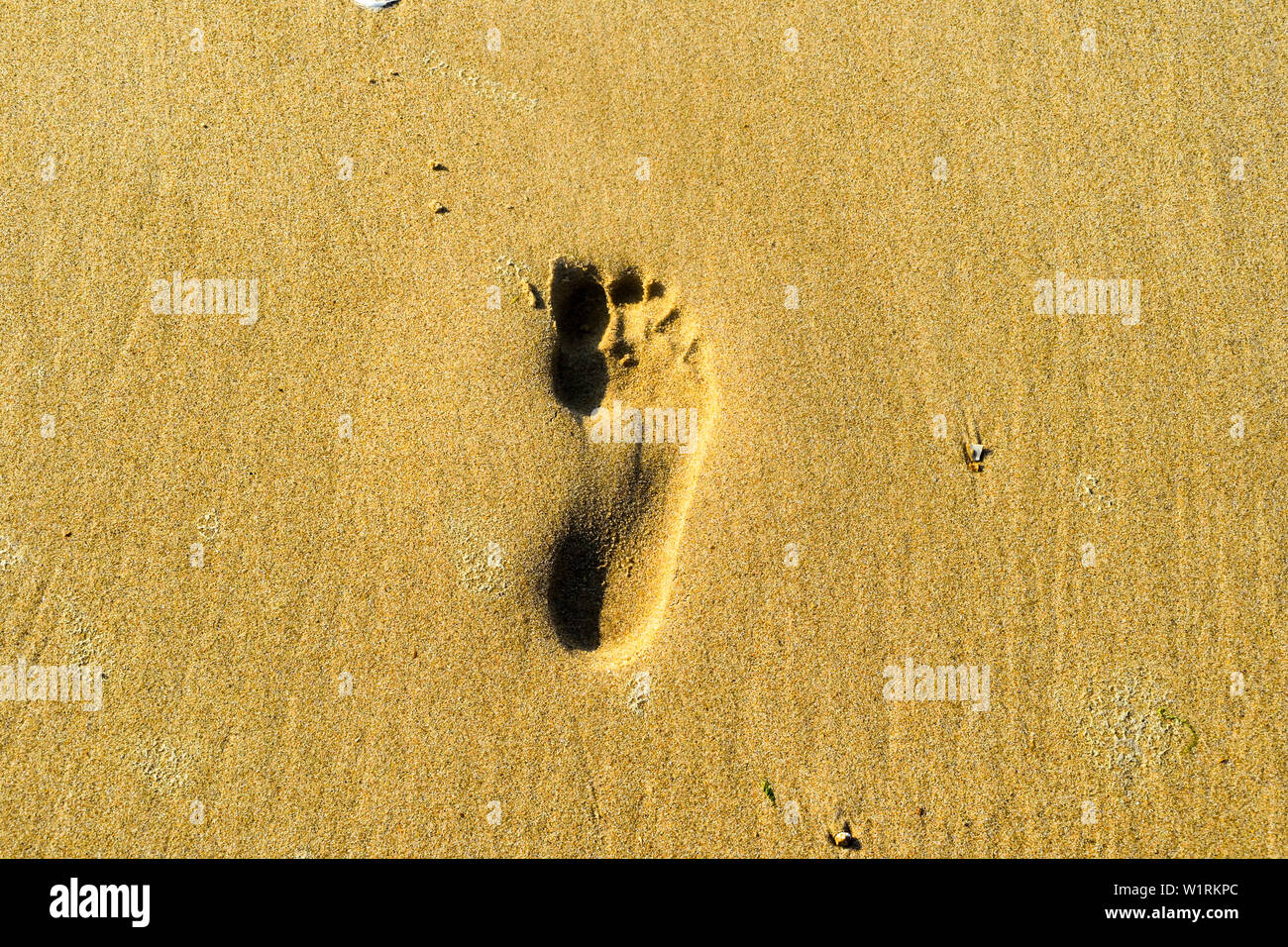 Single footprint in the sand Stock Photo - Alamy
