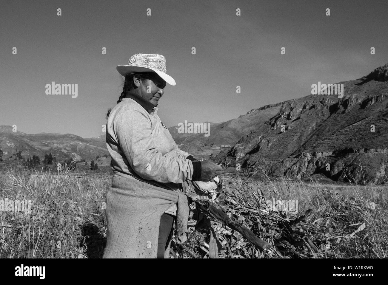 Fields peru Black and White Stock Photos & Images - Alamy