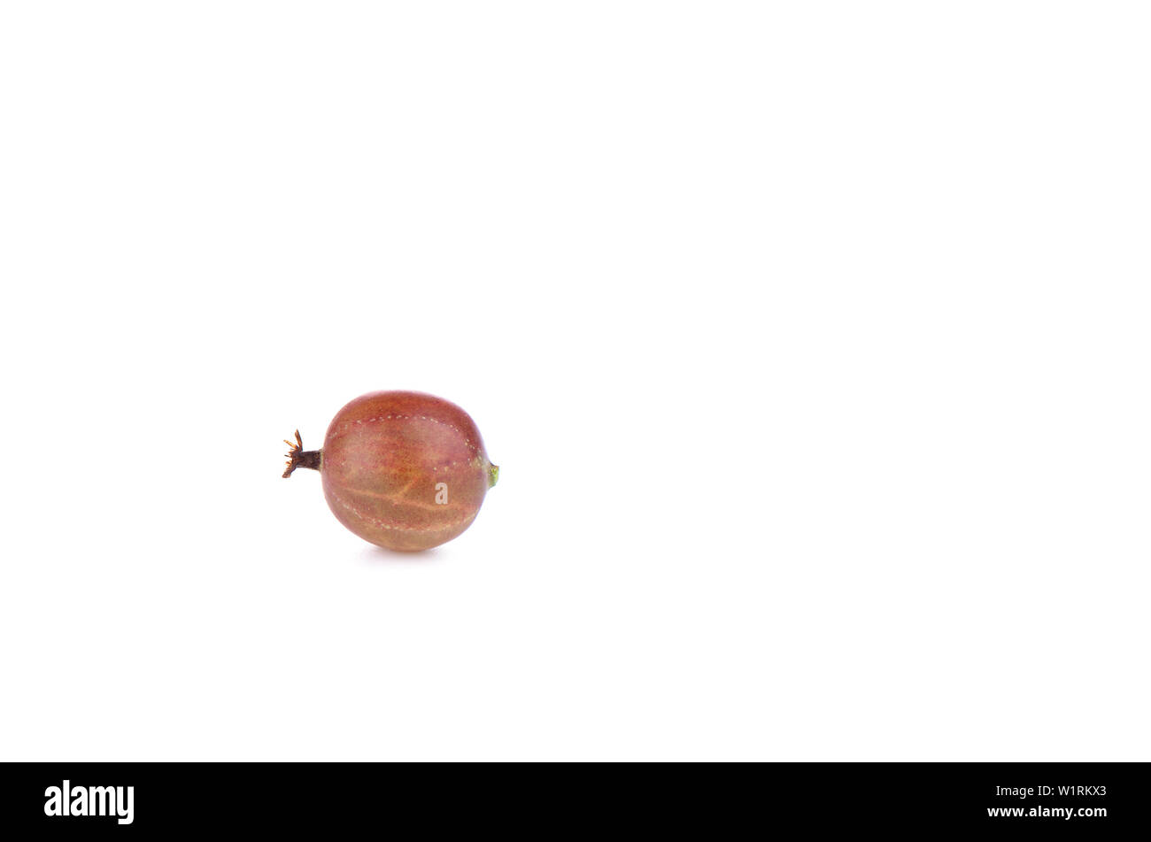 Ripe red gooseberry isolated hi-res stock photography and images - Alamy