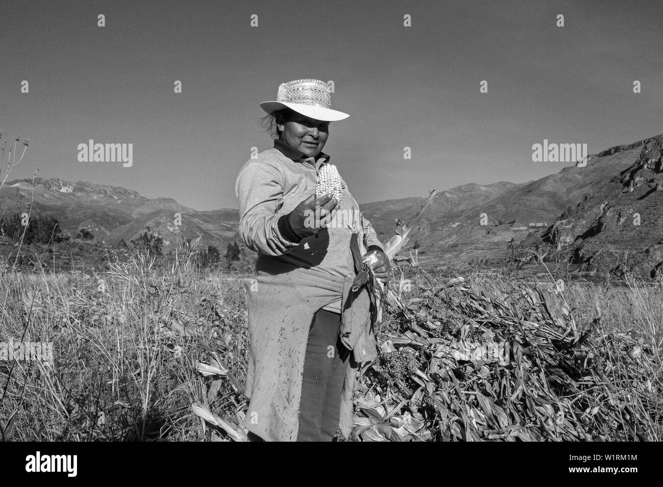 Inca people with corn historical hi-res stock photography and images ...