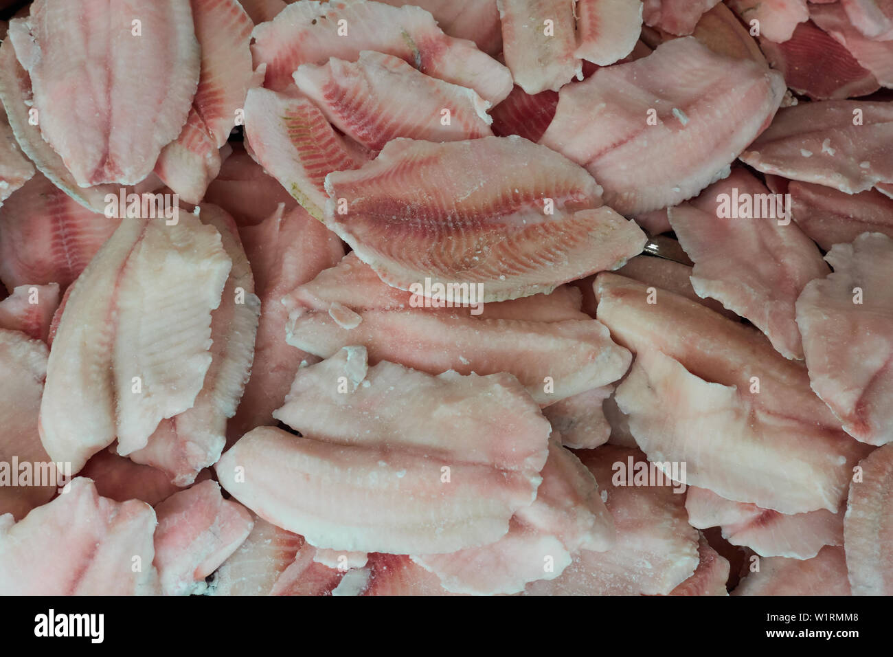 Frozen fish in the refrigerator grocery store Stock Photo - Alamy