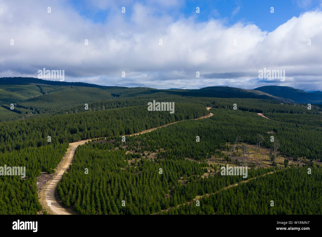 Farmed forest hi-res stock photography and images - Alamy