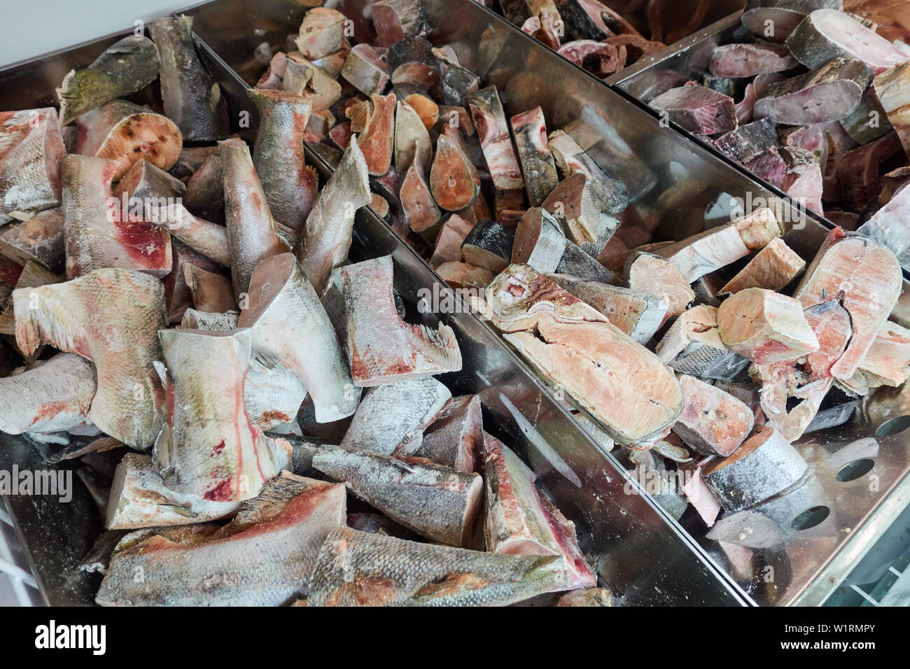 Frozen fish in the refrigerator grocery store Stock Photo - Alamy