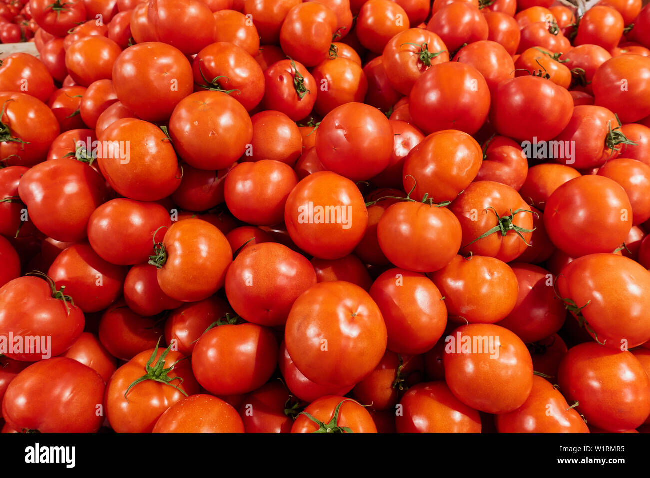 Lots of fresh and ripe tomatoes. Background of tomato Stock Photo - Alamy