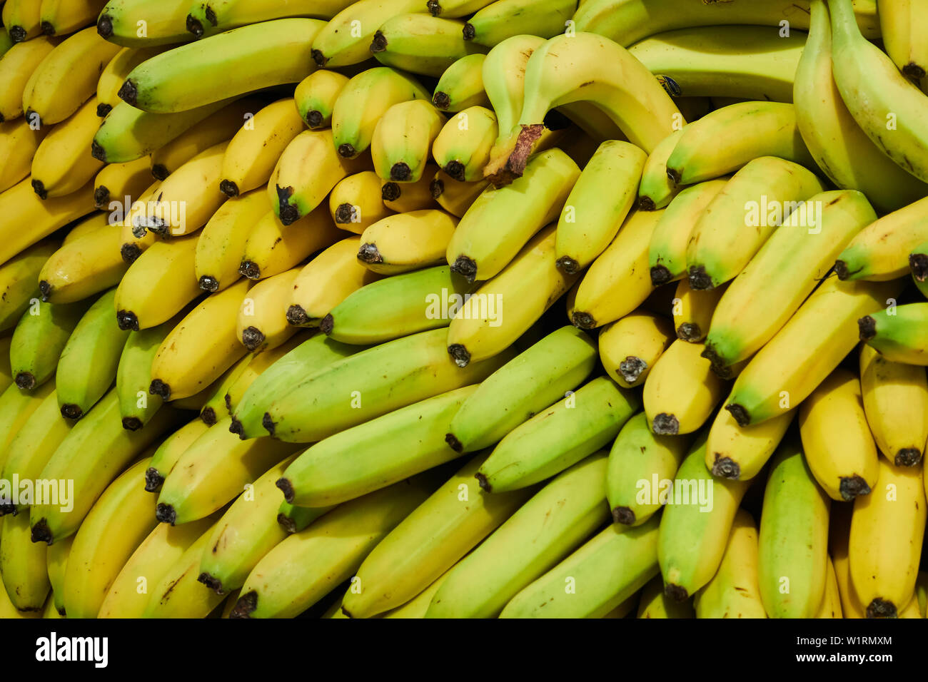Lots of fresh bananas. Background with close-up shooting Stock Photo ...