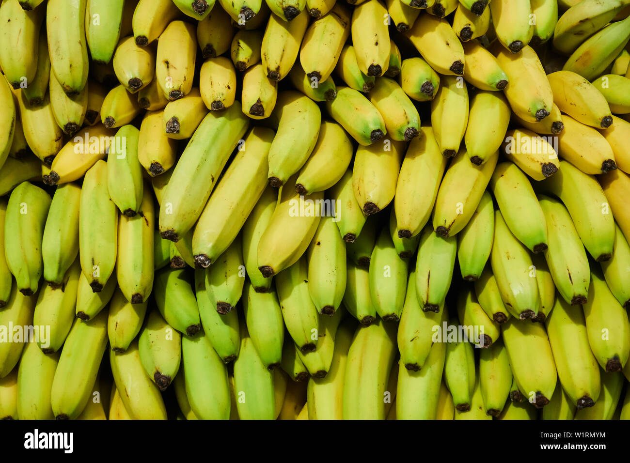 Lots of fresh bananas. Background with close-up shooting Stock Photo ...