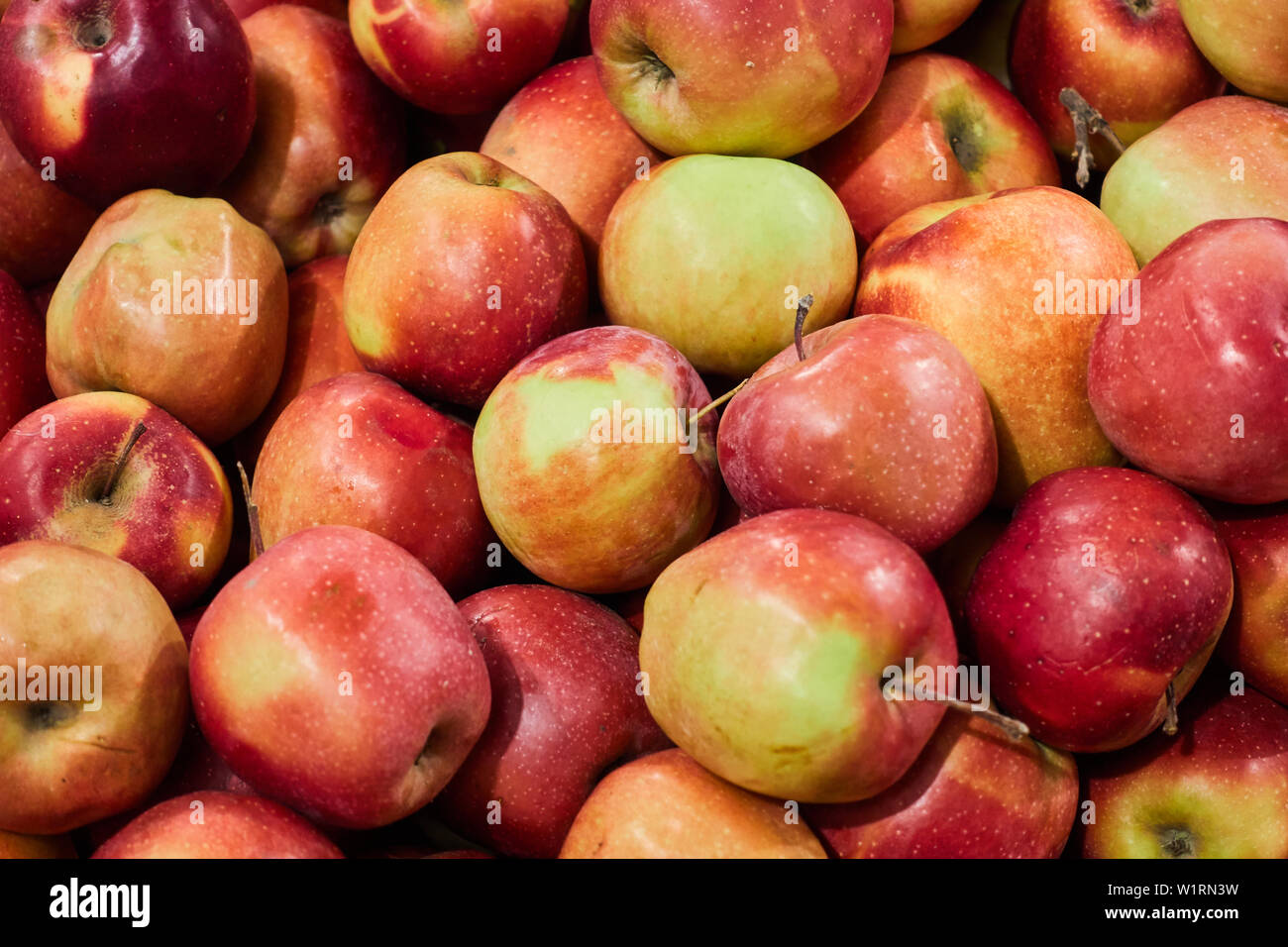 Delicious red apples as background. Close-up shooting Stock Photo - Alamy