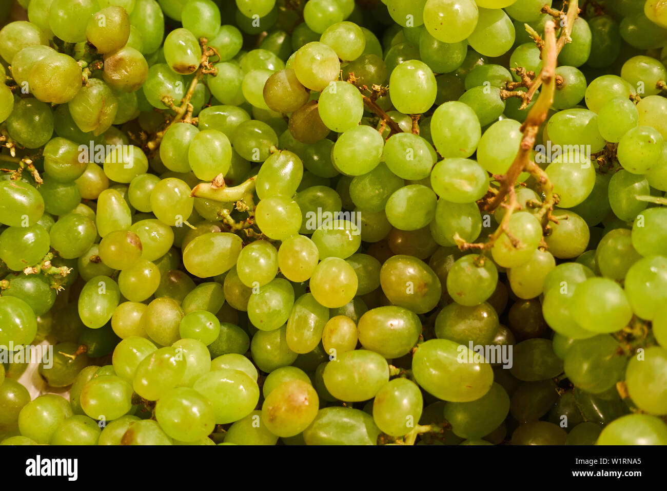 Bunches of green grapes on the store counter Stock Photo - Alamy